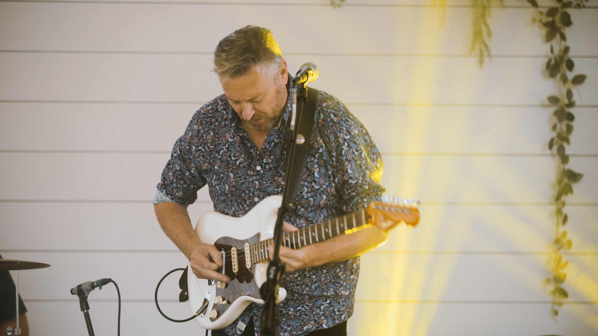 Auckland Cover Band | The Craig Cave Band : Better Band